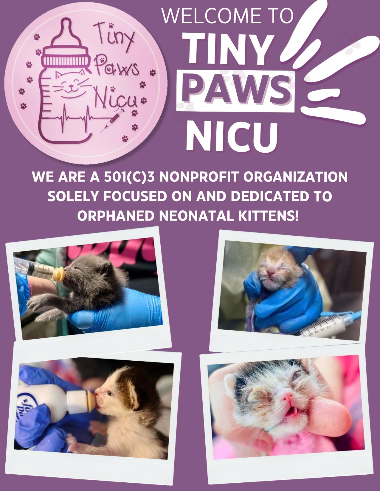 Tiny Paws Nicu